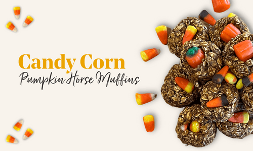 Halloween Pumpkin Horse Treat Recipe | Schneider Saddlery